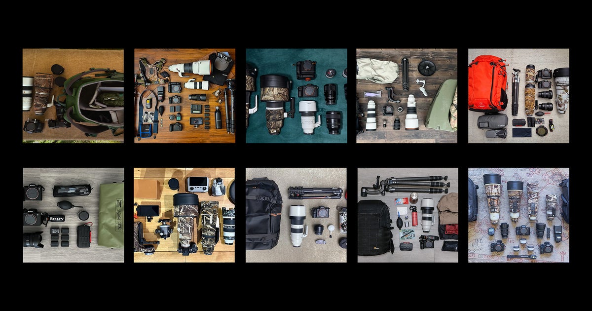 10 Camera Kits For Photographing Birds & Other Wildlife | Sony | Alpha ...