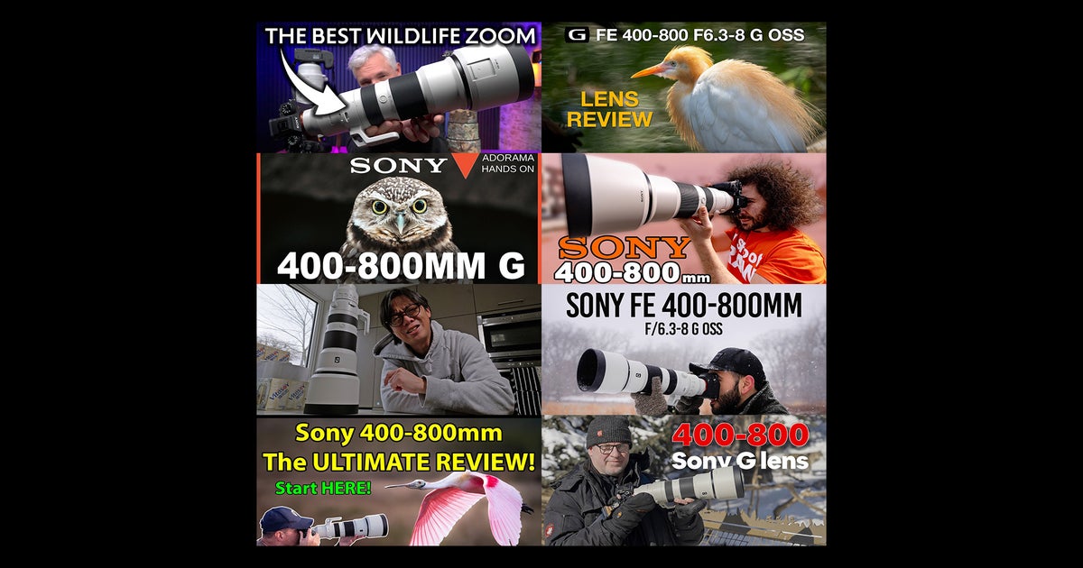 Sony 400-800mm f/6.3-8 G Review Roundup: Is This the Ultimate Super ...