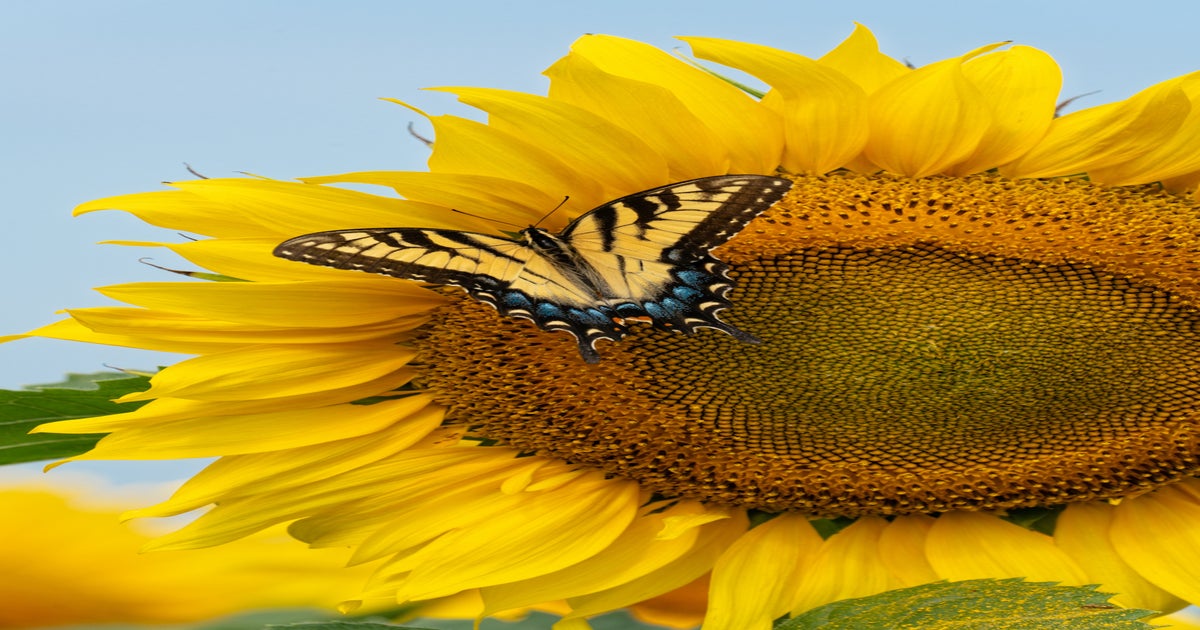 Alpha Profile Spotlight: How This Photographer Combines Her Love For ...