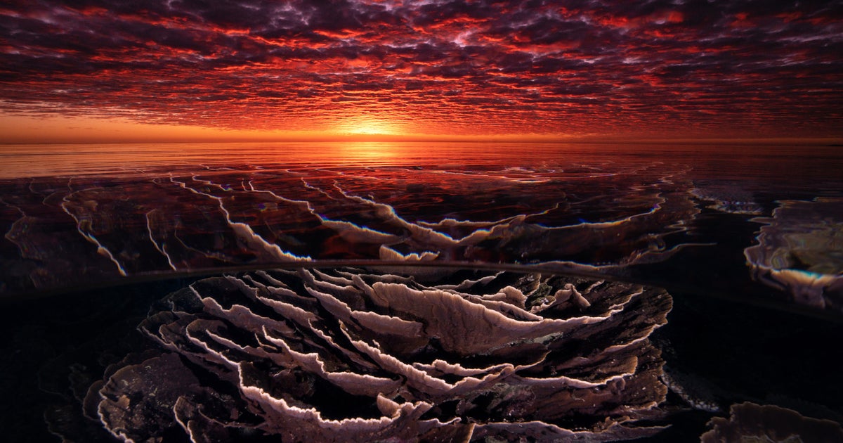 Behind The Shot: A Sunset & Coral Reef "Over-Under" | Sony | Alpha Universe