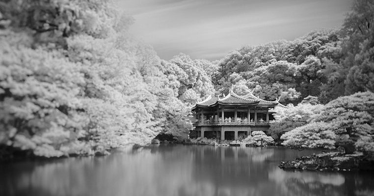 One-Day Infrared Workshop With Thibault Roland | Sony | Alpha Universe