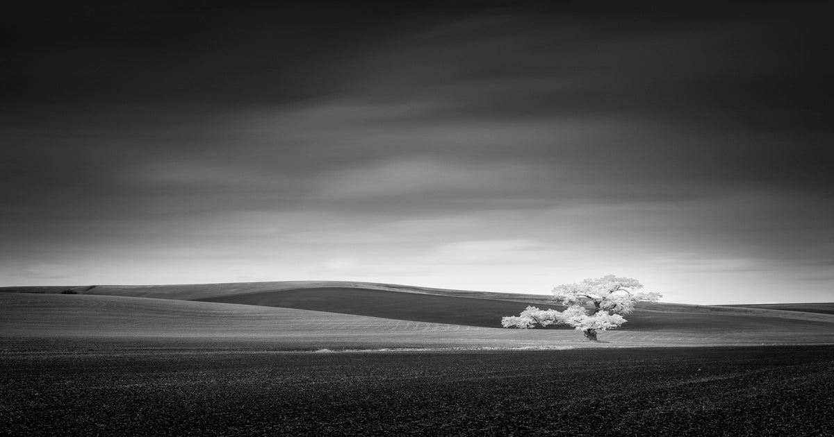 Three-Day Workshop In The Palouse With Thibault Roland | Sony | Alpha ...
