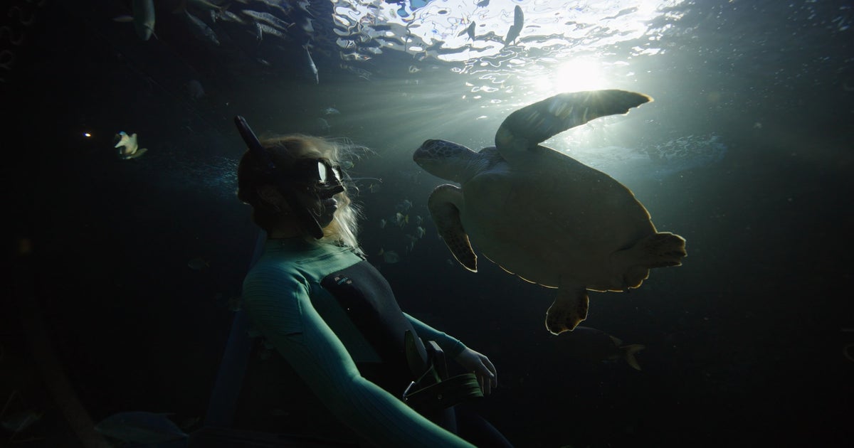This Powerful Mini Doc Packs A Punch Through Short-Form Storytelling ...