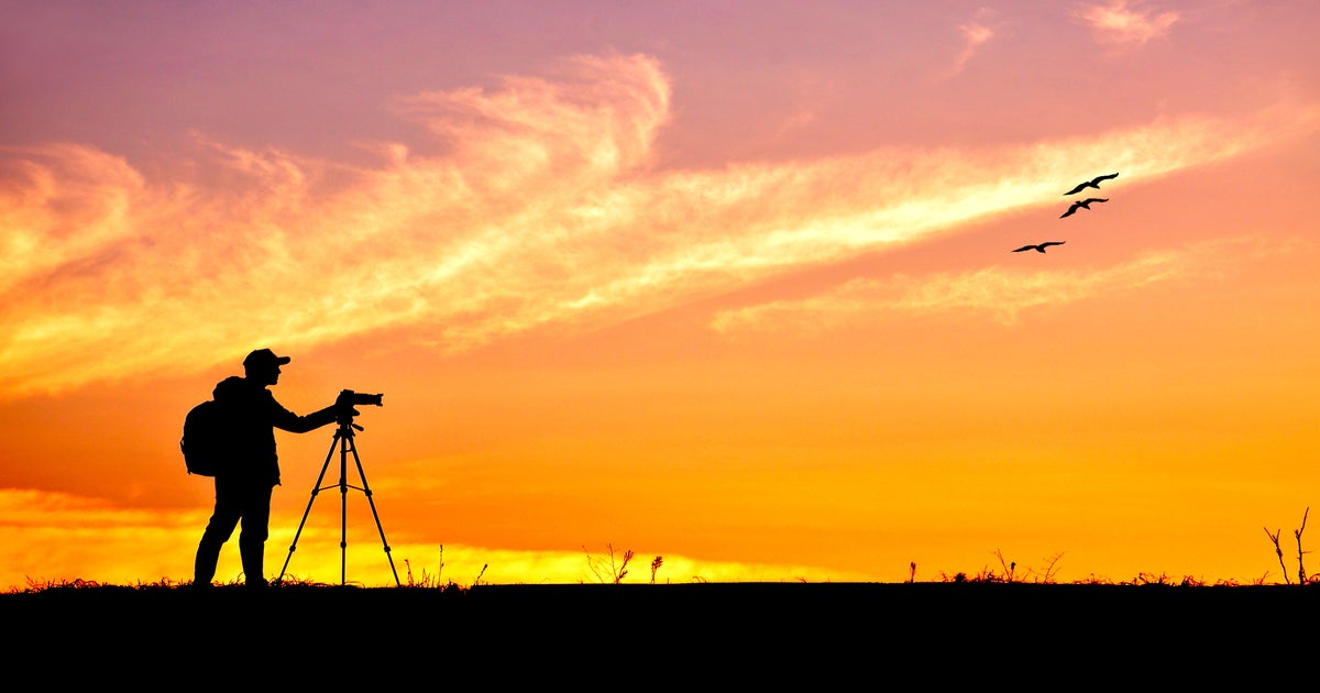 The PRO-Files: Are You Selling Out If You're Successful? | Sony | Alpha ...