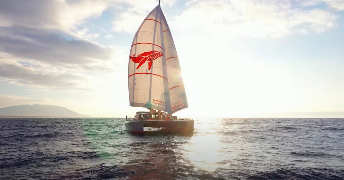 In Episode 7 Of Sea Legacy | The Voyage, The Crew Explores The Rare ...