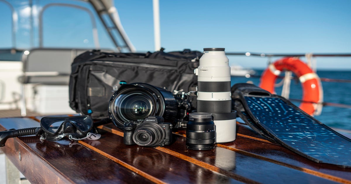 What’s In My Bag: An Underwater Photography Kit For Big Animals ...