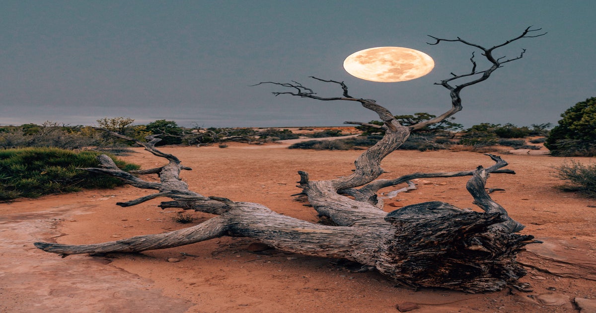 See How These Photographers Capture Mesmerizing Moonlit Scenes | Sony ...
