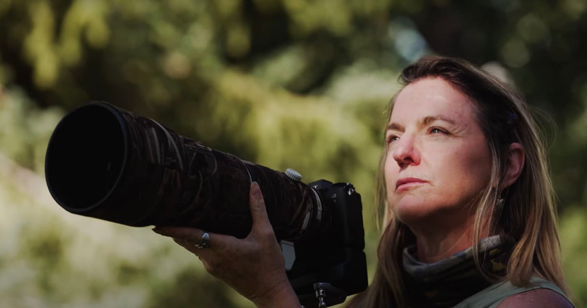 Sony Welcomes Melissa Groo As New Artisan Of Imagery | Sony | Alpha ...