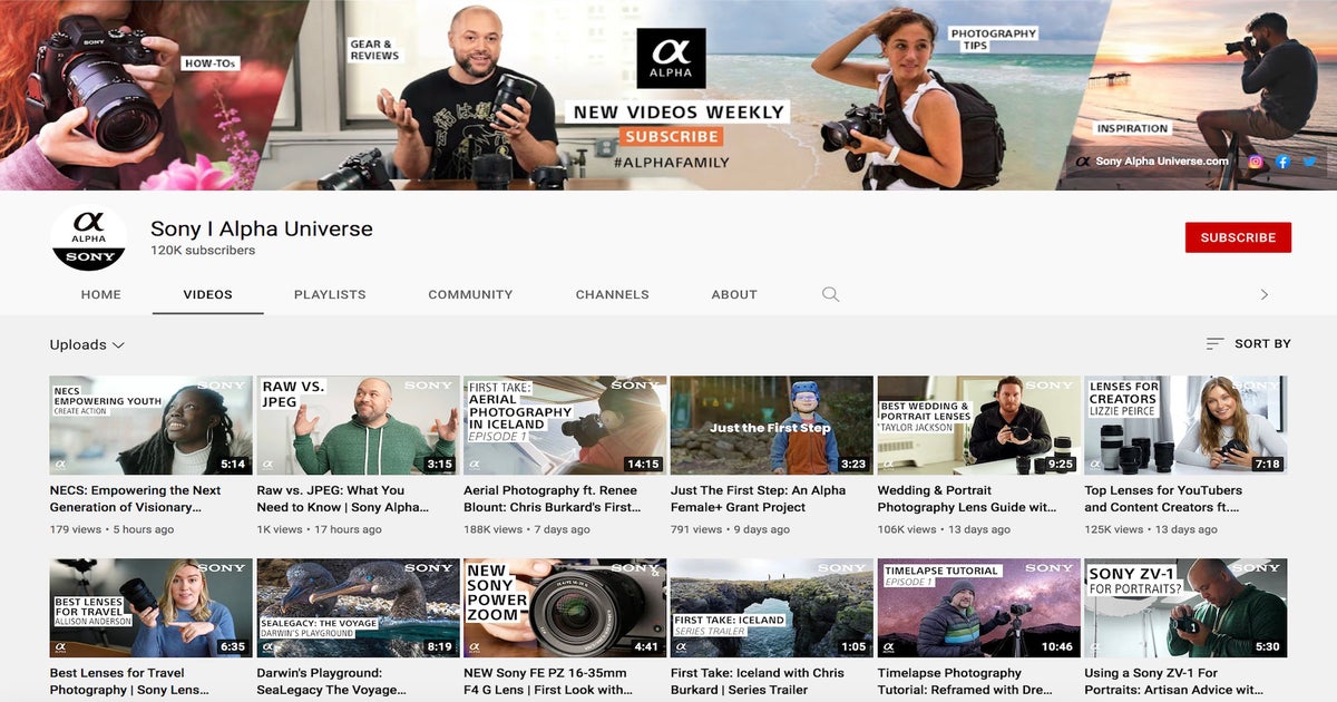 See What These Creatives Have Been Up To On The Alpha Universe YouTube ...