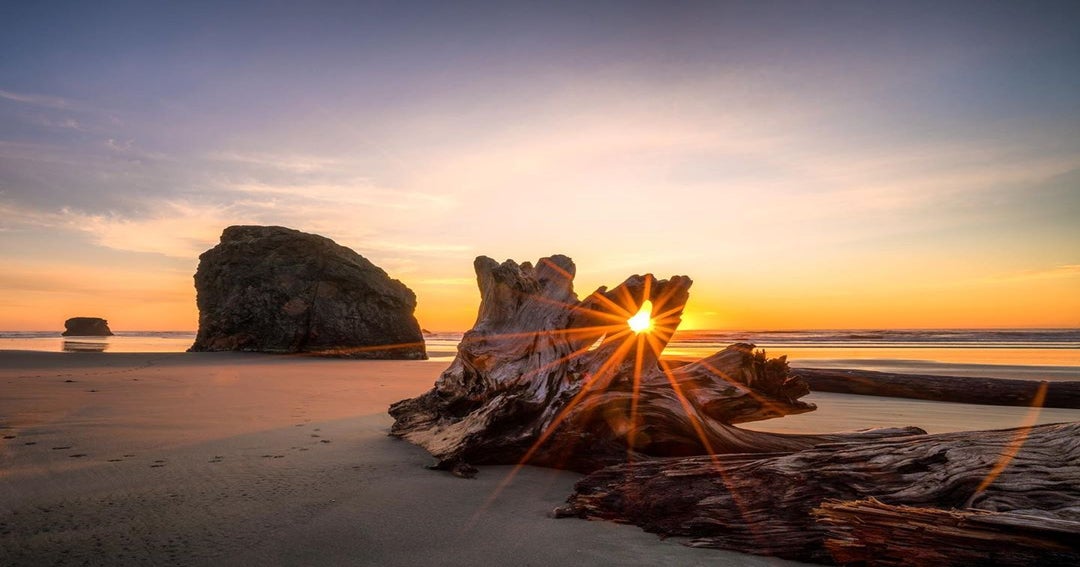 Behind The Lens: How A Shift In Perspective Rekindled Andy Best's ...