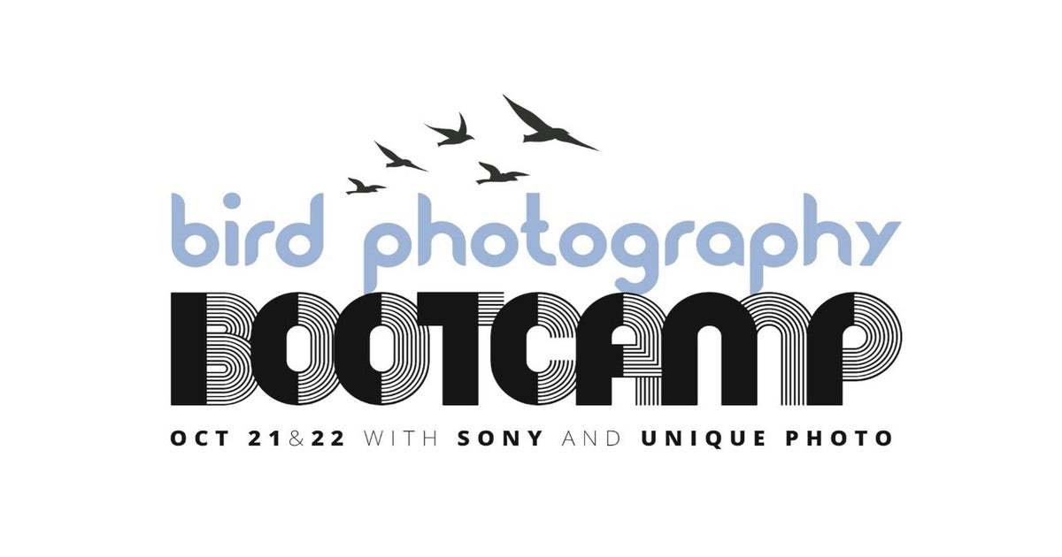 Bird Photography Bootcamp With Sony | Sony | Alpha Universe