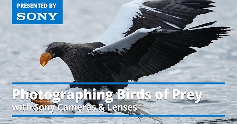 Photographing Birds Of Prey With Sony Cameras & Lenses | Sony | Alpha ...