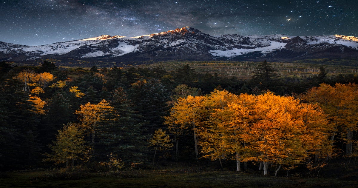 Take A Look At How These Photographers Capture The Essence Of Autumn ...