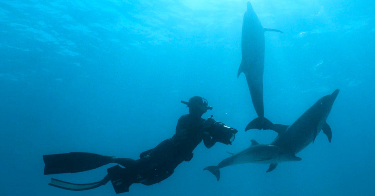 Watch The Trailer For Episode 2 Of SeaLegacy: The Voyage | Sony | Alpha ...