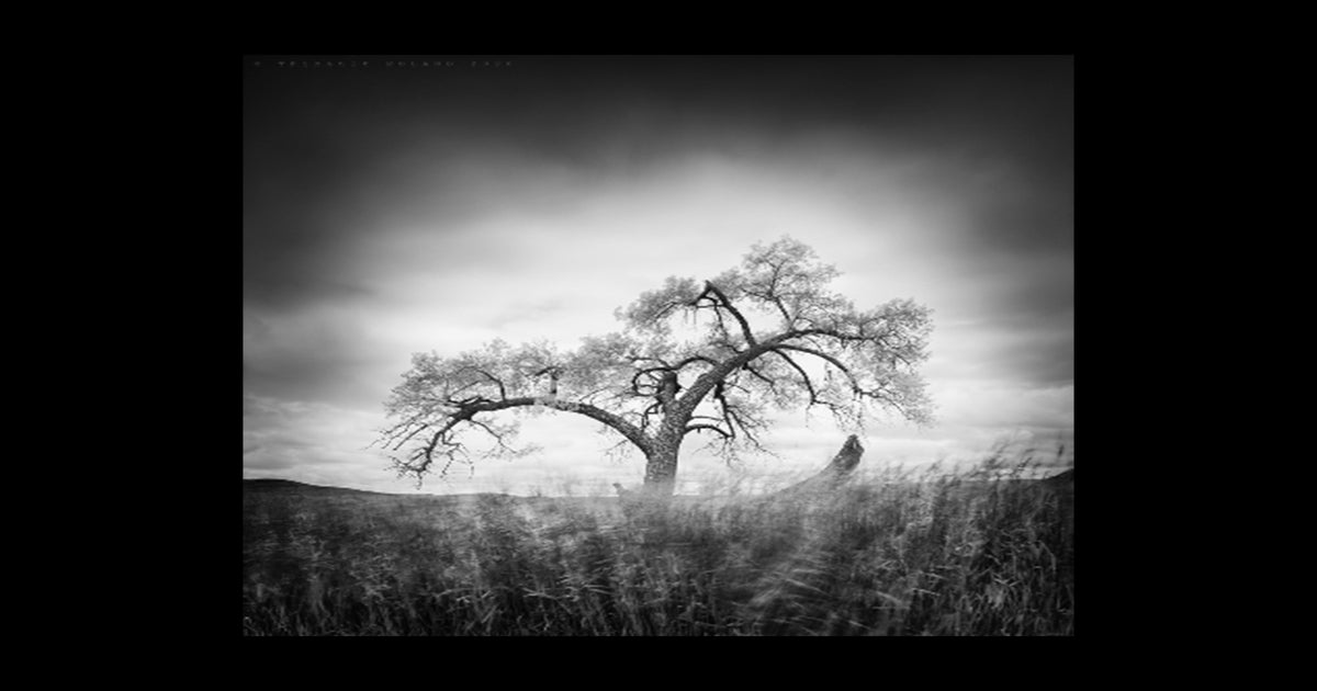 The Art Of Black & White Photography With Sony Artisan Thibault Roland ...