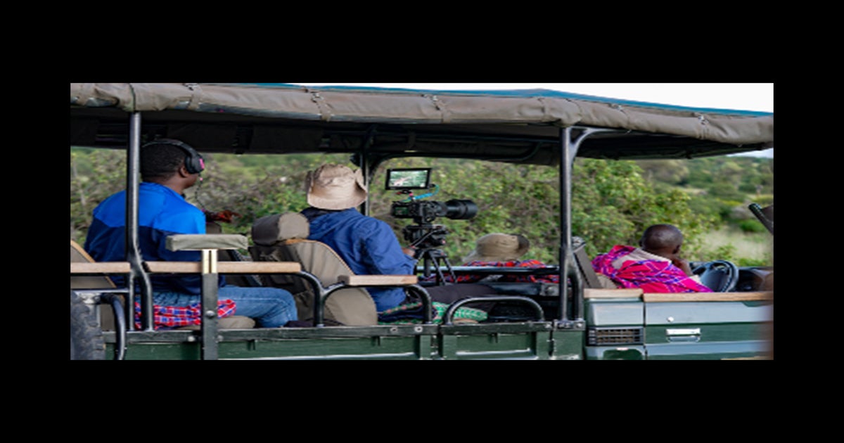 Wildlife Filmmaking With The African Wildlife Foundation & Jackson Wild ...