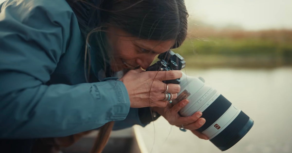 Shoot First, Crop Later: Why The Alpha 7R VI Is A Wildlife Photographer ...