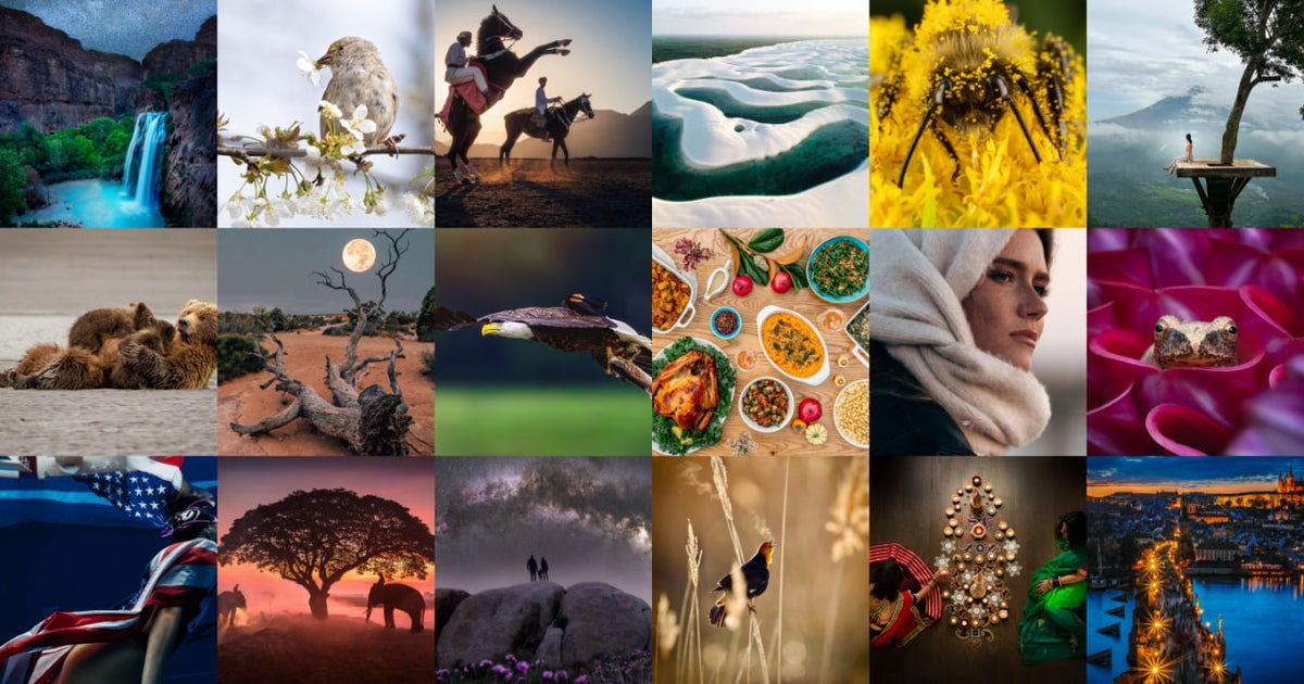 Vote Now For The Sony Alpha Female+ Creator Of The Year Award! | Sony ...