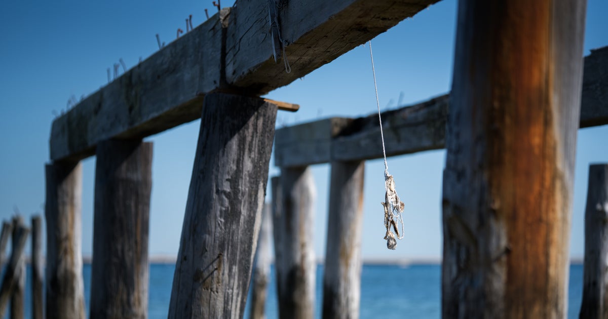 South Oregon Coast Workshop With Sony Artisan Thibault Roland | Sony ...